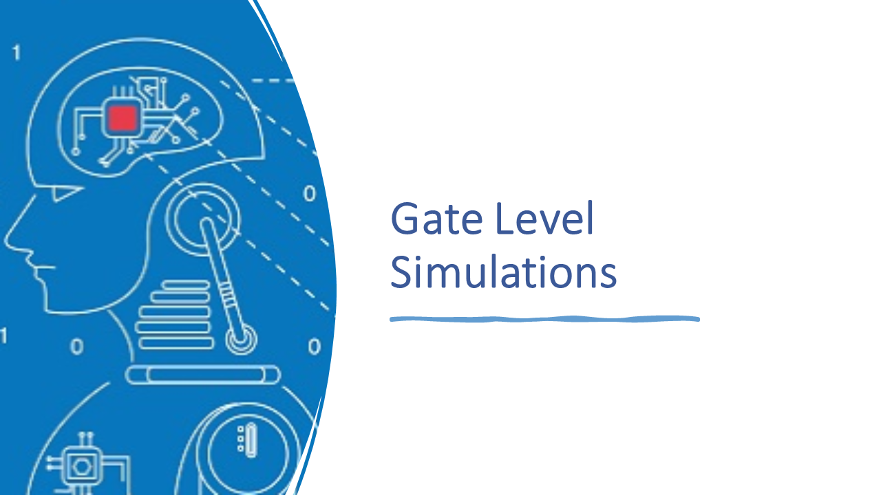 Gate Level Simulations (GLS)